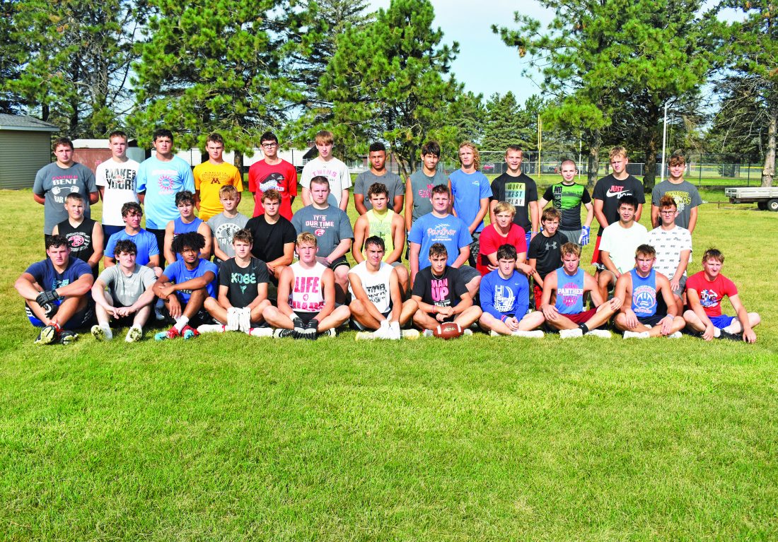 FALL PREVIEW: Panthers have high expectations in 2021 | News, Sports ...